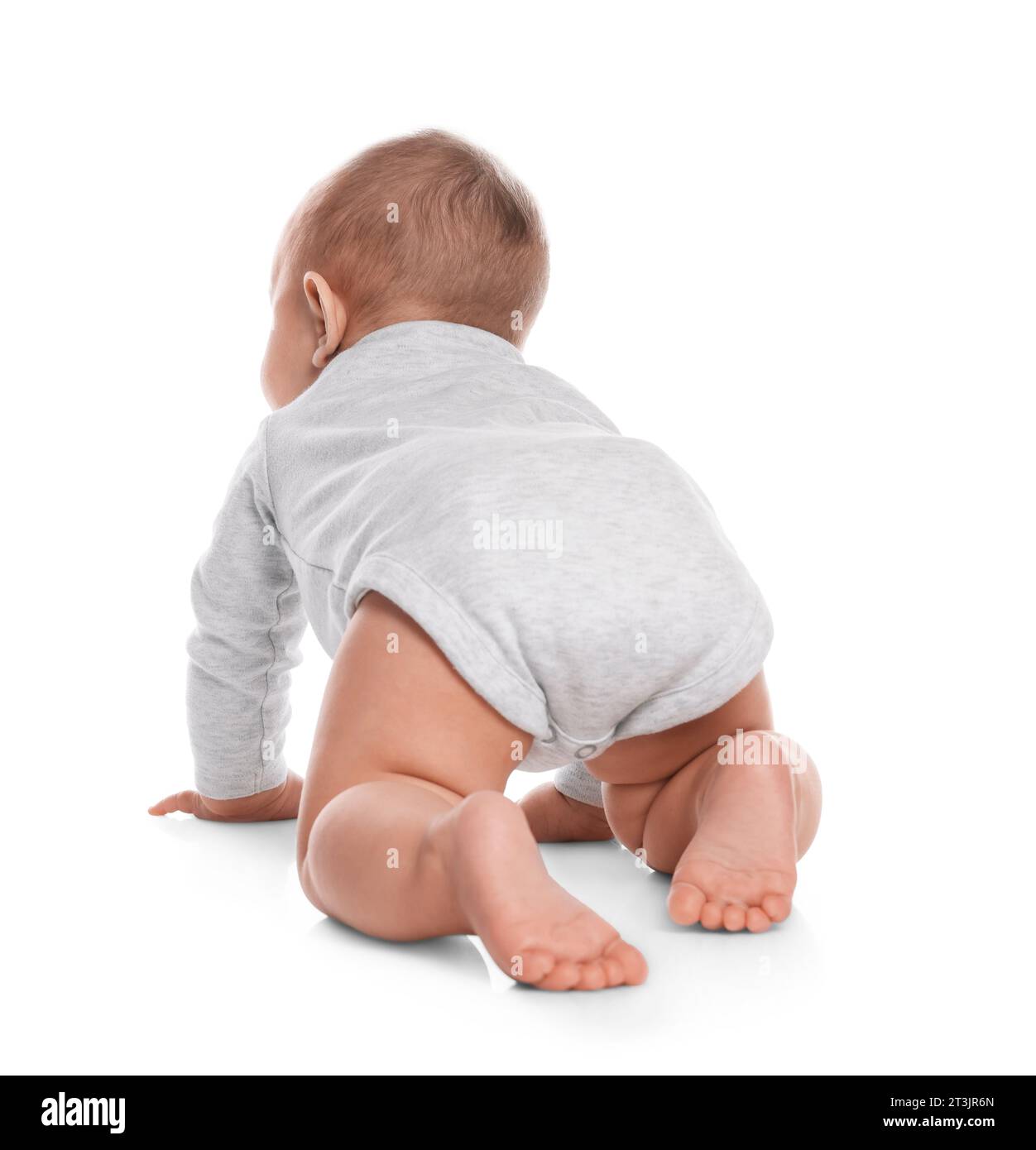 Cute little baby crawling on white background, back view Stock Photo ...