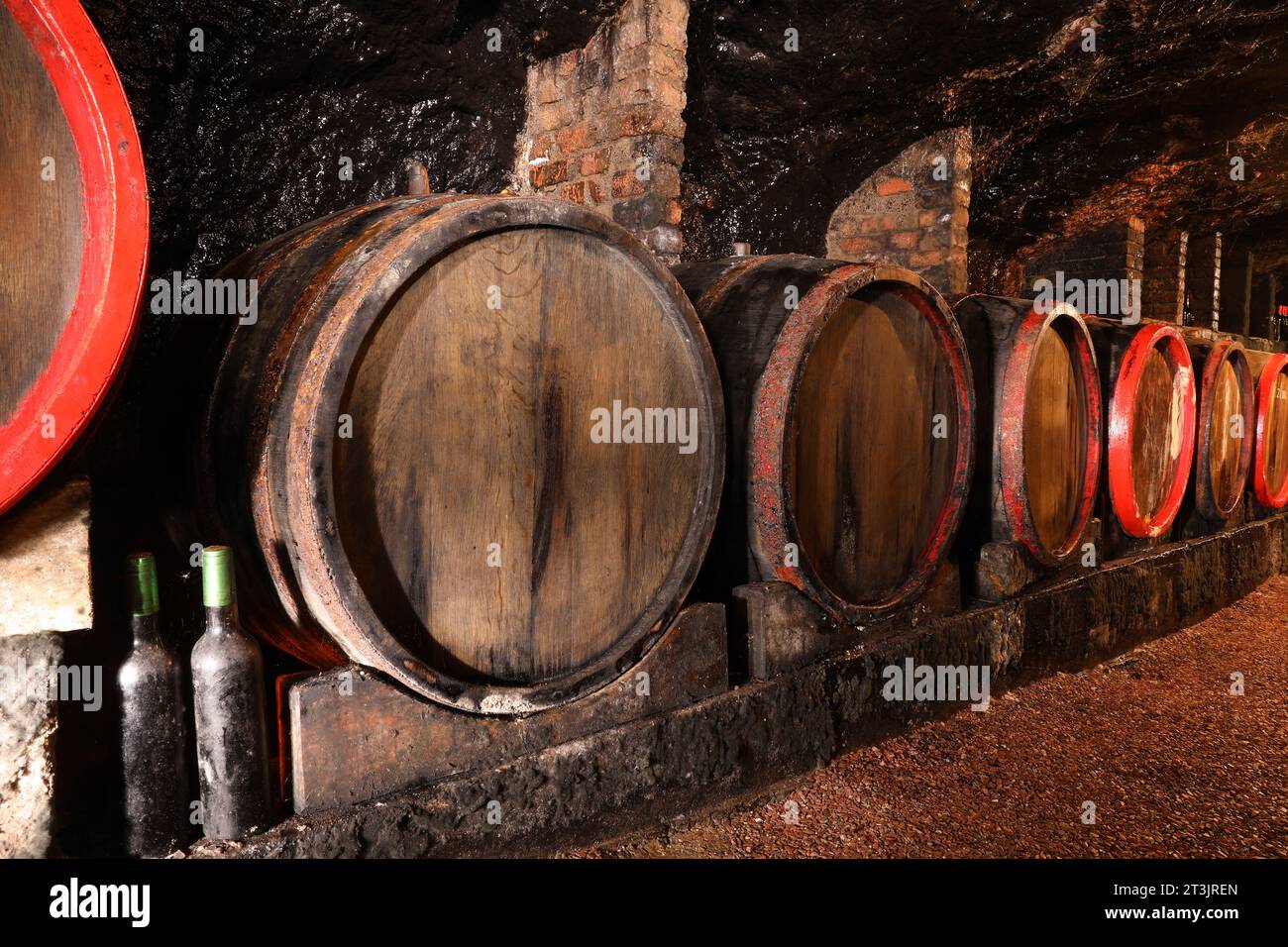 Many wooden barrels with alcohol drinks in cellar Stock Photo - Alamy