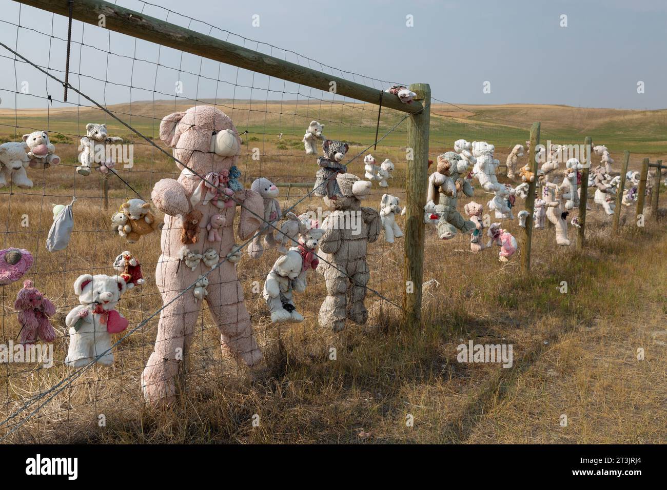 A collection of stuffed teddy bears line a fence along US Highway 89 ...