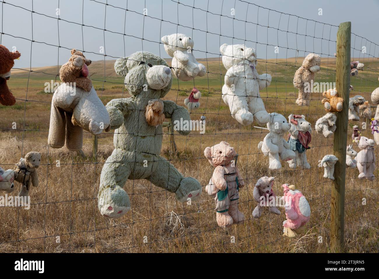 Roadside tribute teddy hi-res stock photography and images - Alamy