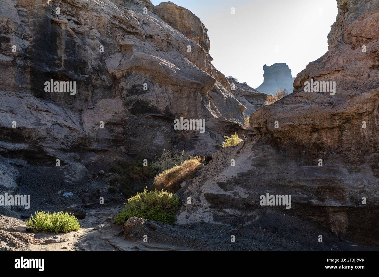 Yadan Landform on the Desert of Xinjiang, China Stock Photo - Alamy