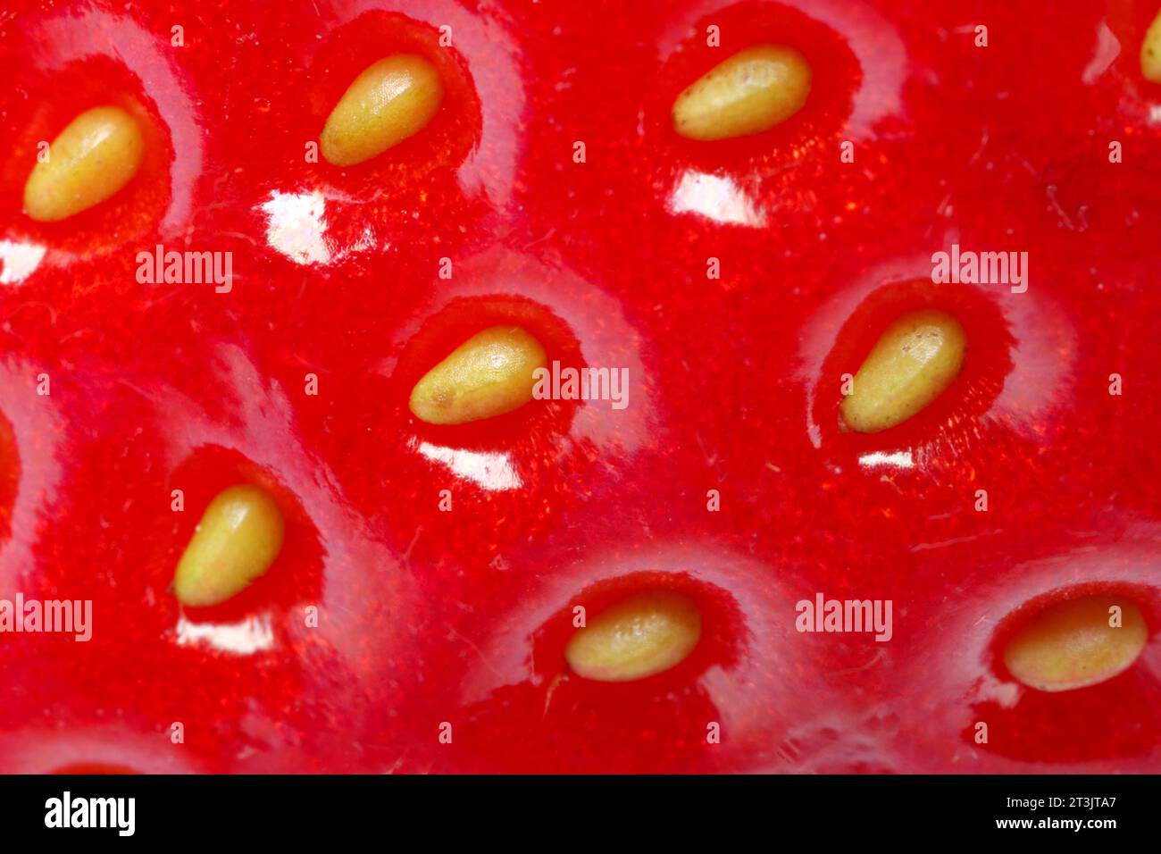 Texture of ripe strawberry as background, macro view. Fresh berry Stock ...