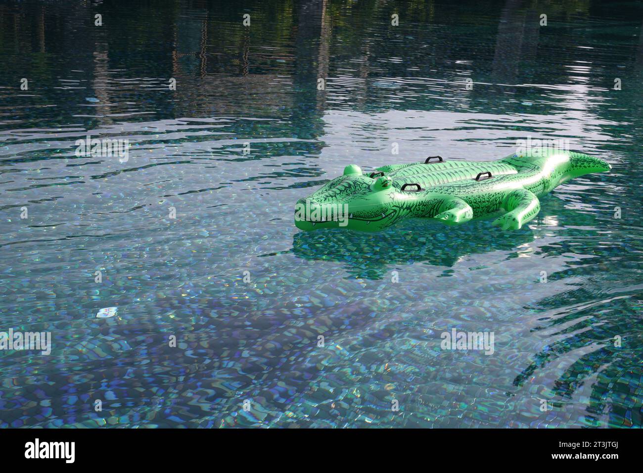 Float in shape of crocodile in swimming pool outdoors Stock Photo - Alamy