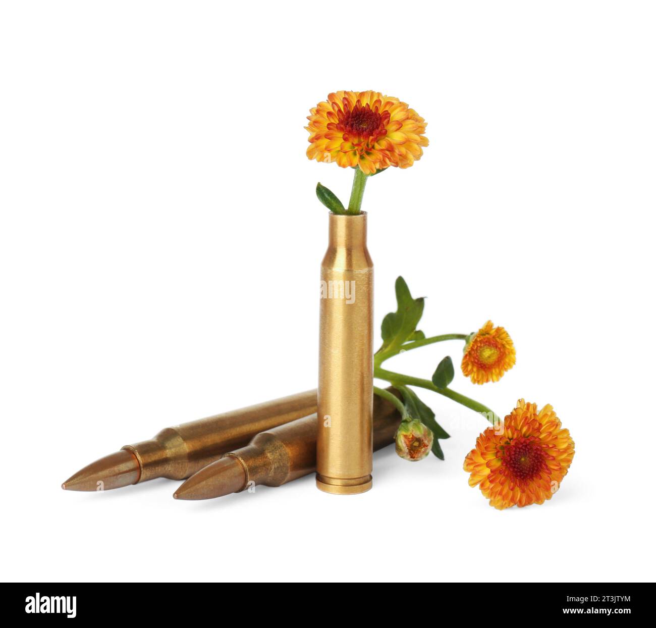 Bullets and beautiful flowers isolated on white Stock Photo - Alamy