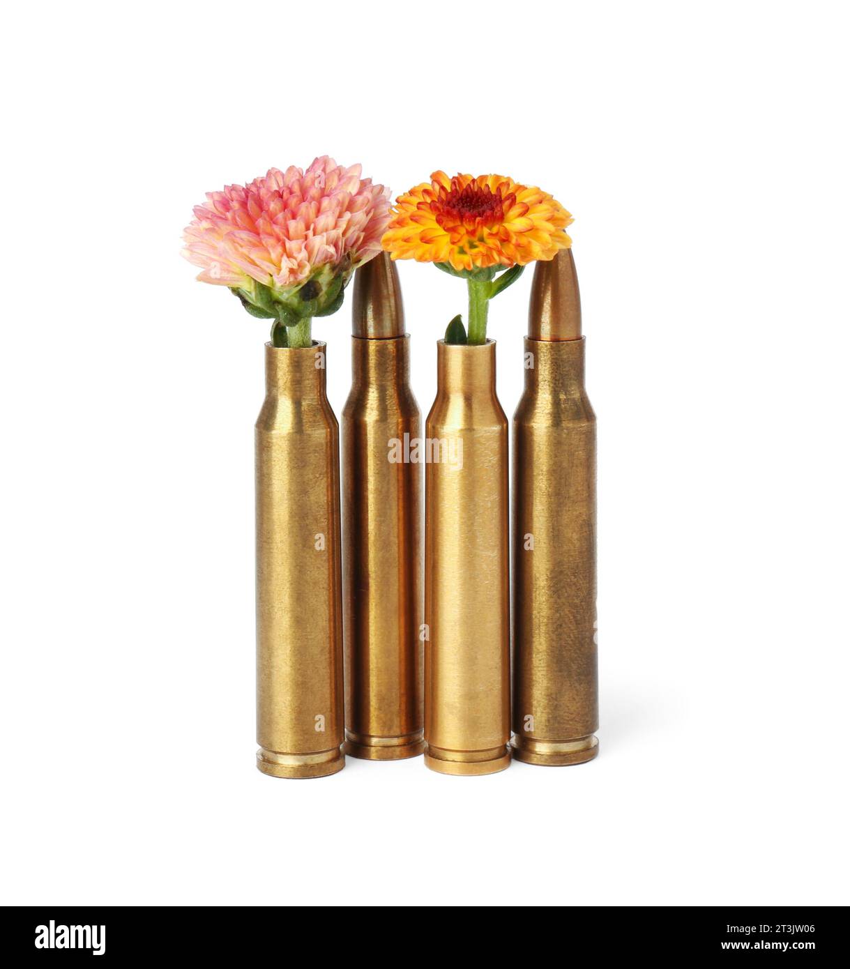 Bullets and cartridge cases with beautiful flowers isolated on white ...