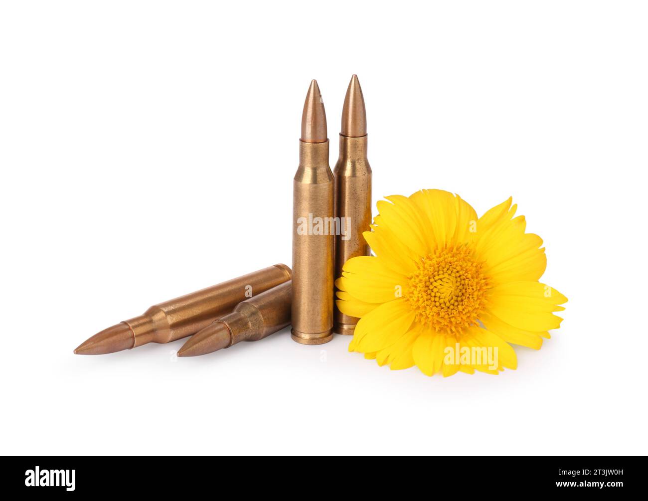 Bullets and beautiful flower isolated on white Stock Photo - Alamy