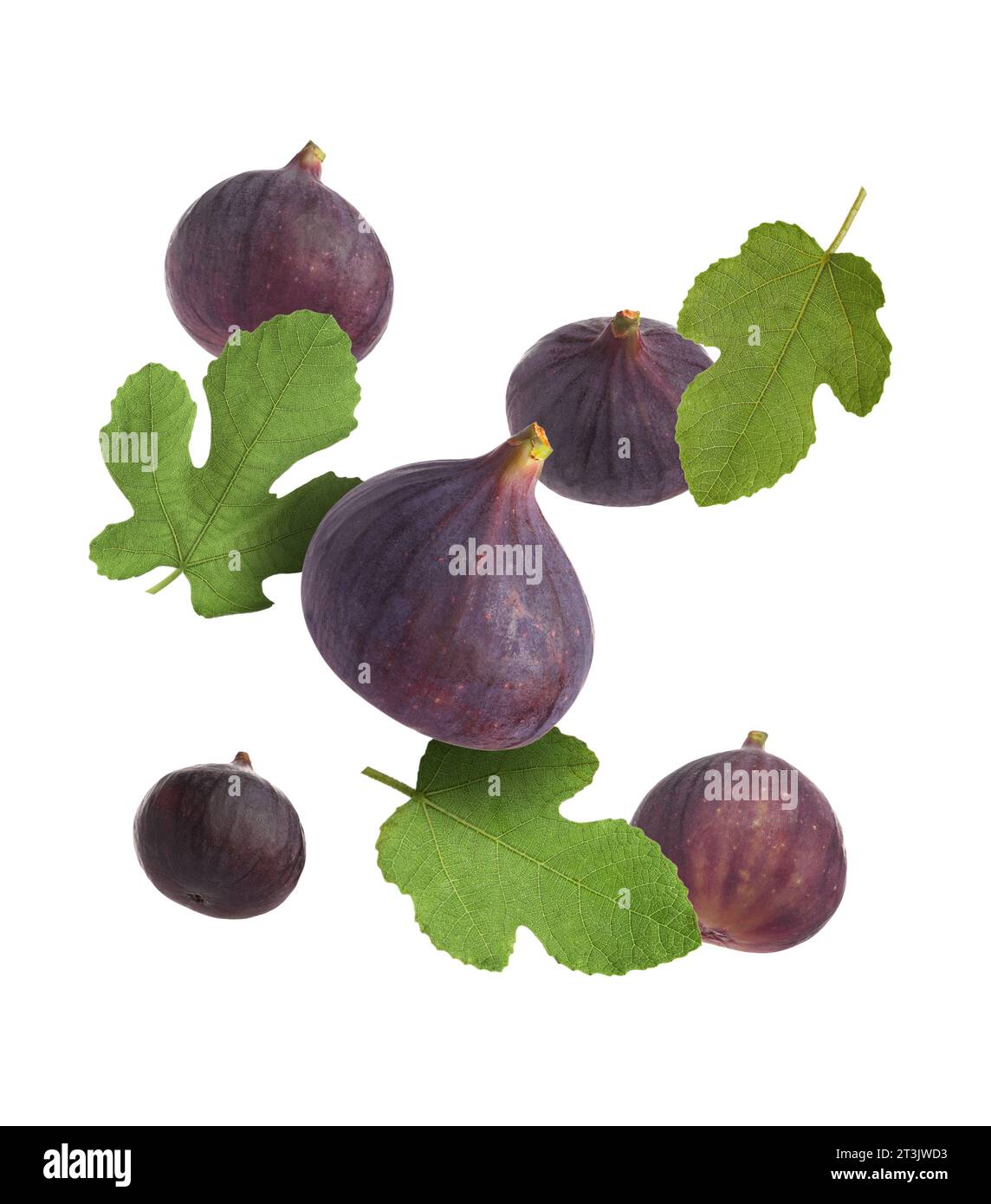 Fresh figs and green leaves falling on white background Stock Photo - Alamy