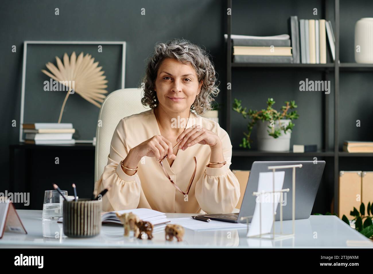 Mature smiling female director or ceo sitting by desk in front of ...