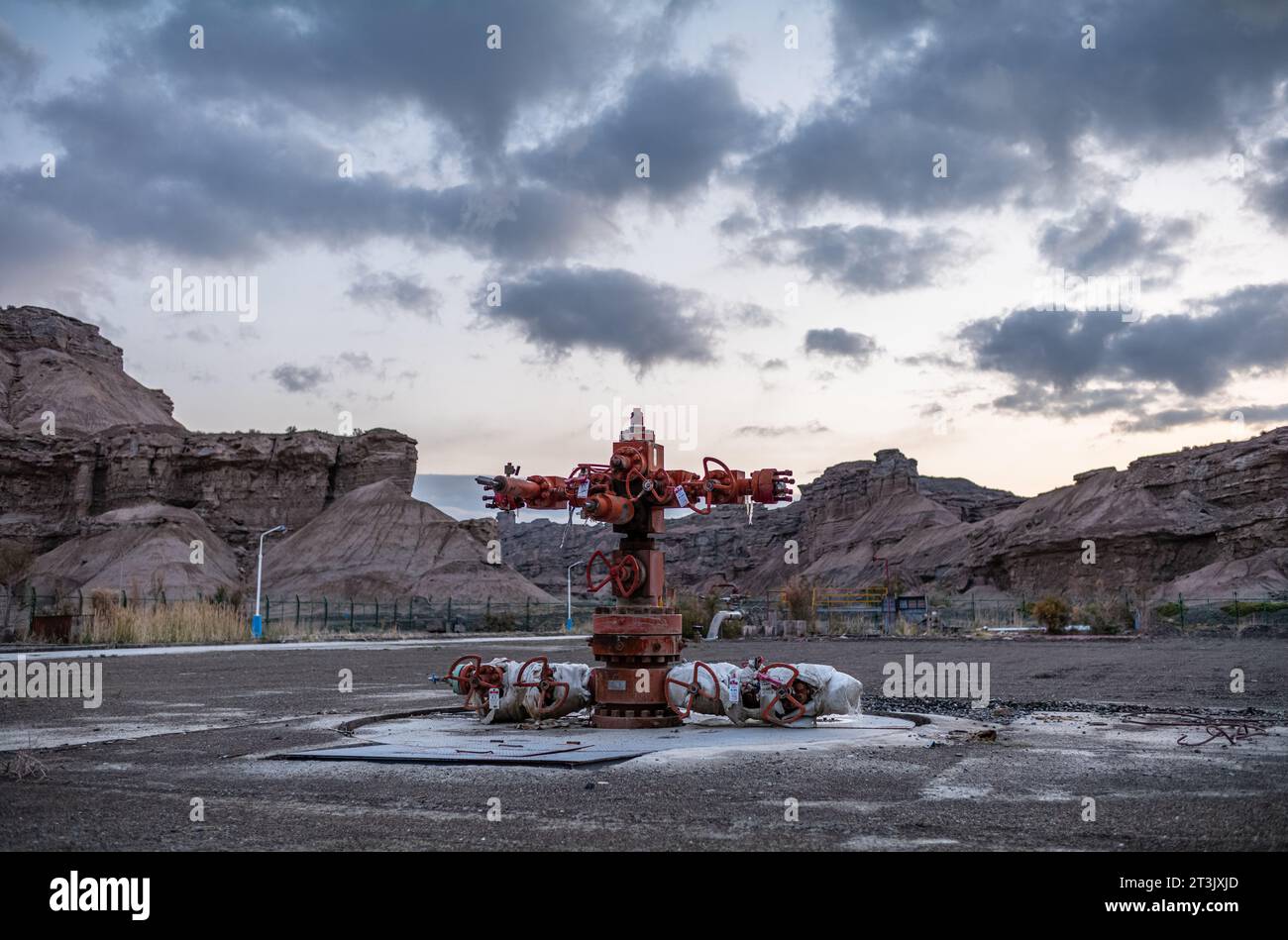 Oil trees on the desolate land of Xinjiang, China Stock Photo - Alamy