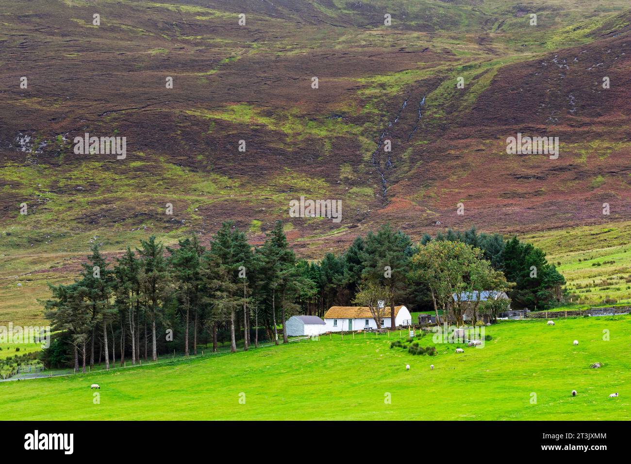 Farm near Teelin, Killybegs,County Donegal, Ireland Stock Photo - Alamy