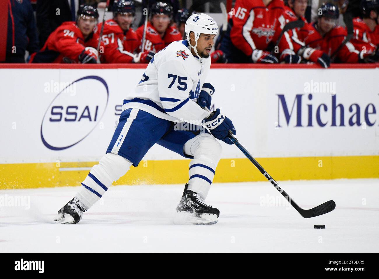 Toronto Maple Leafs right wing Ryan Reaves (75) in action during the ...