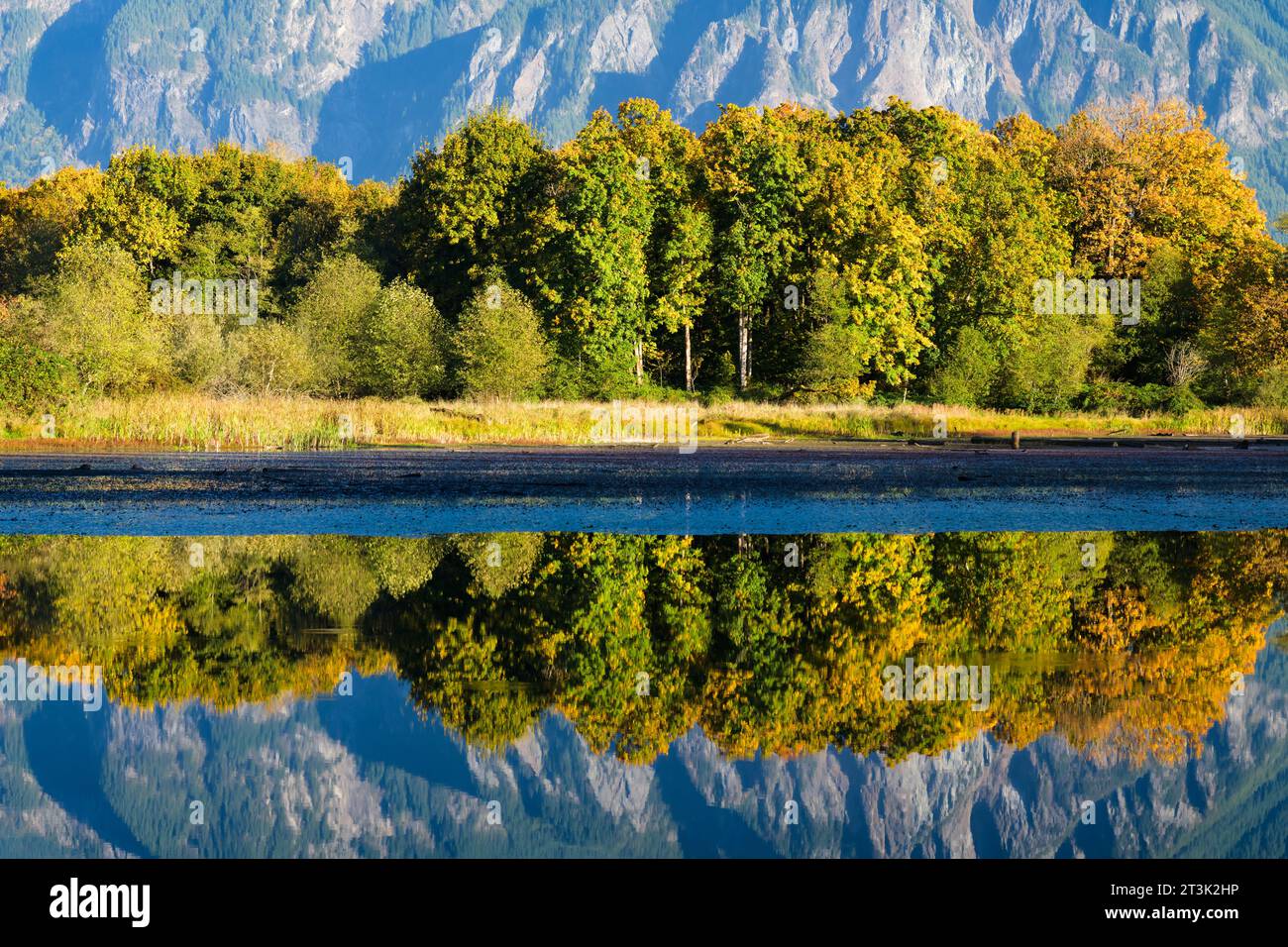 Trees reflect in mountain lake hi-res stock photography and images - Alamy