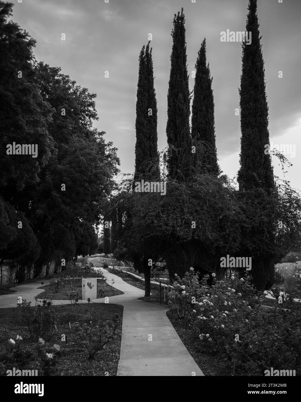 Small but inviting Black and White Stock Photos & Images - Alamy