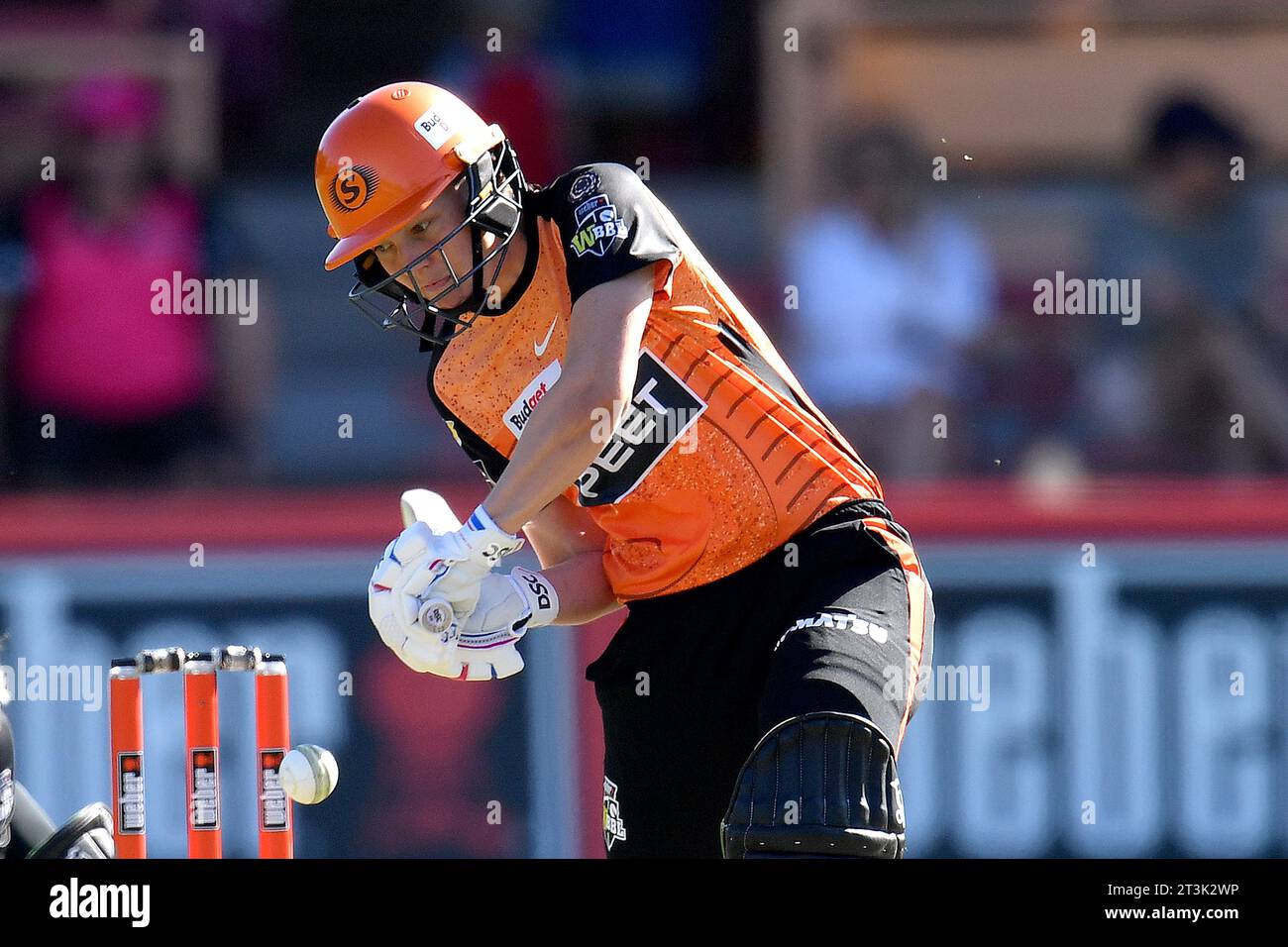 Sydney, Australia. 22nd Oct, 2023. Amy Edgar of the Scorchers bats ...