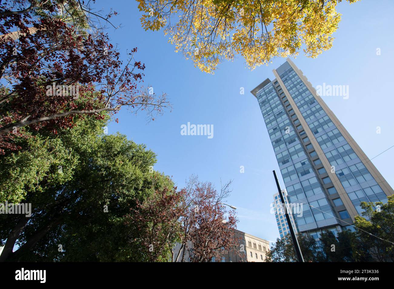 Downtown san jose skyline hi-res stock photography and images - Alamy