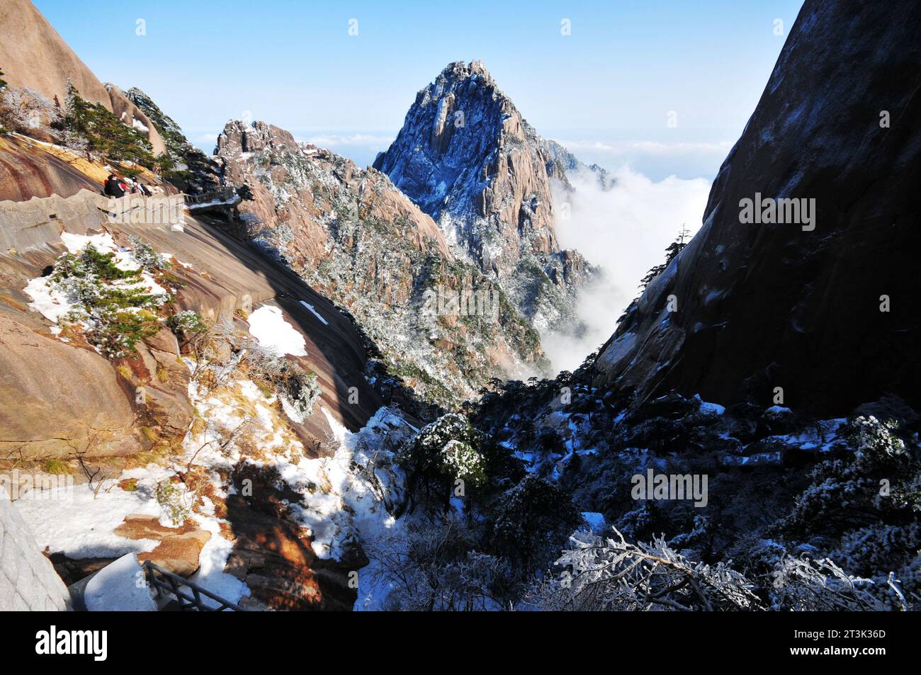 Photo of Mountain landscape after heavy snowfall, trees covered with ...