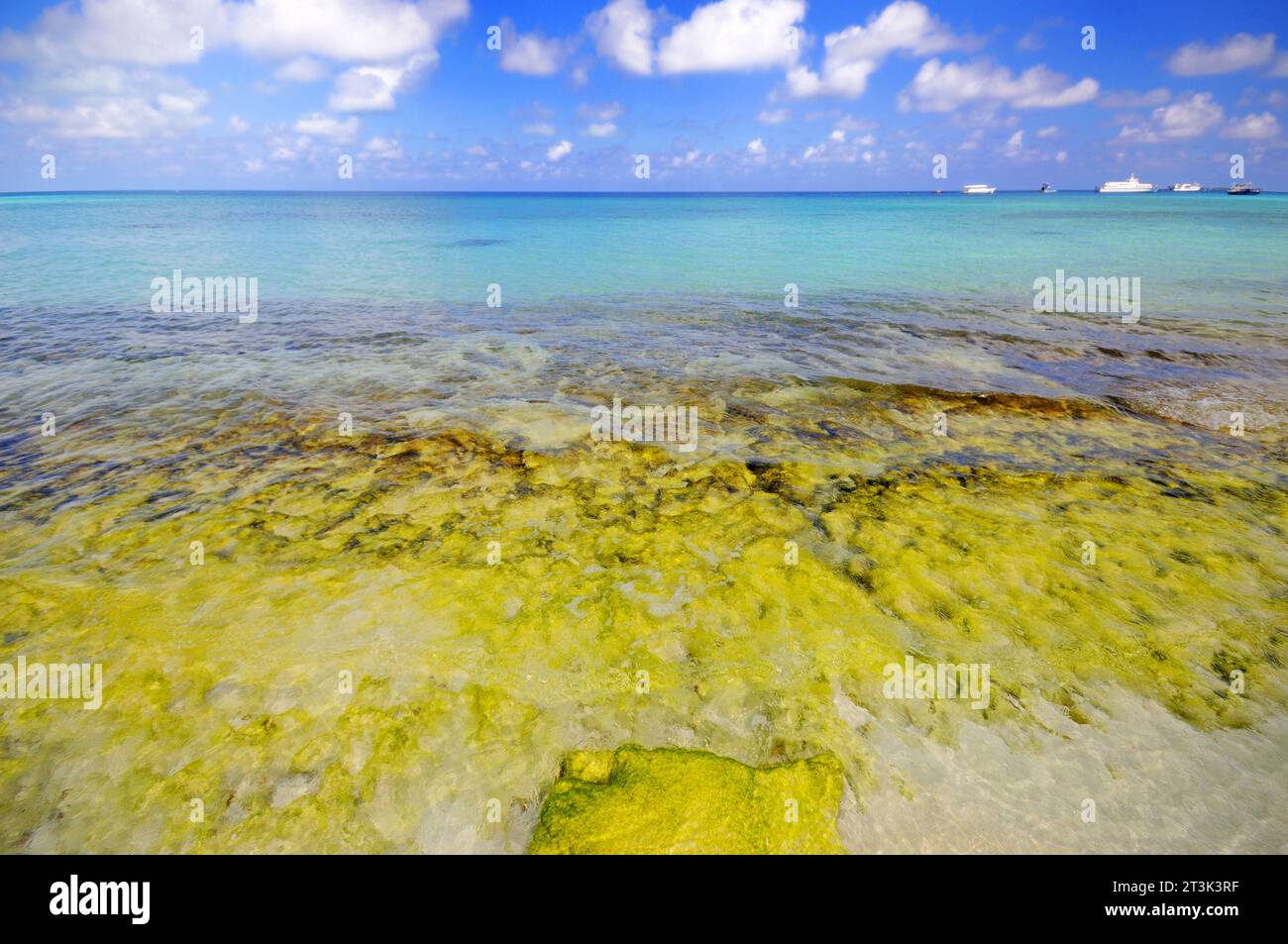Photos of Maldives Beach Stock Photo - Alamy