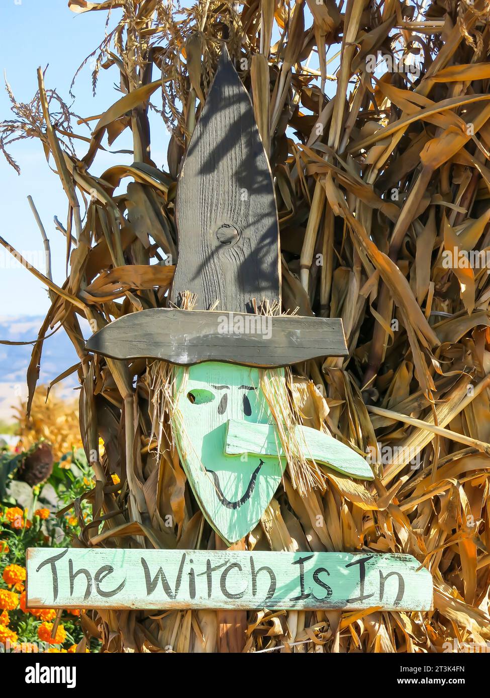 Colorful halloween scene hi-res stock photography and images - Alamy