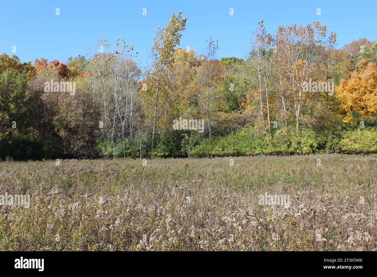Fall in the prairie hi-res stock photography and images - Alamy