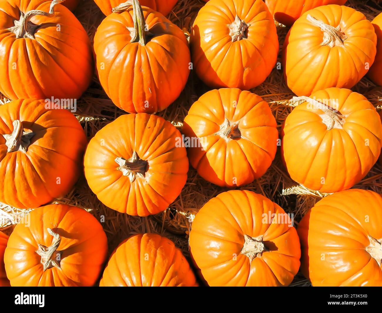 Top view display hi-res stock photography and images - Alamy