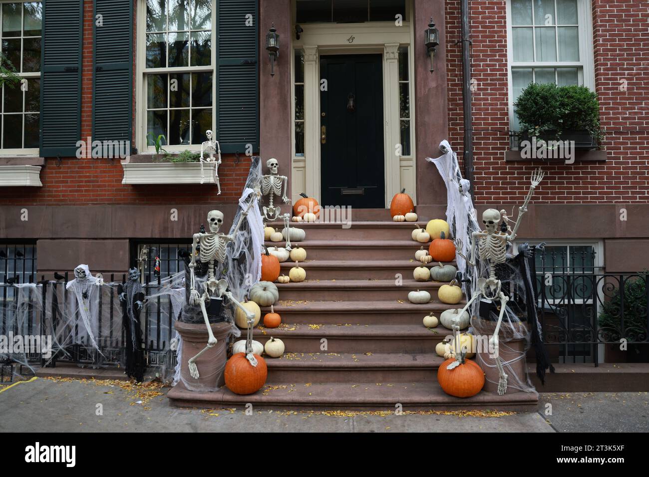 Human skeleton on stand hi-res stock photography and images - Alamy