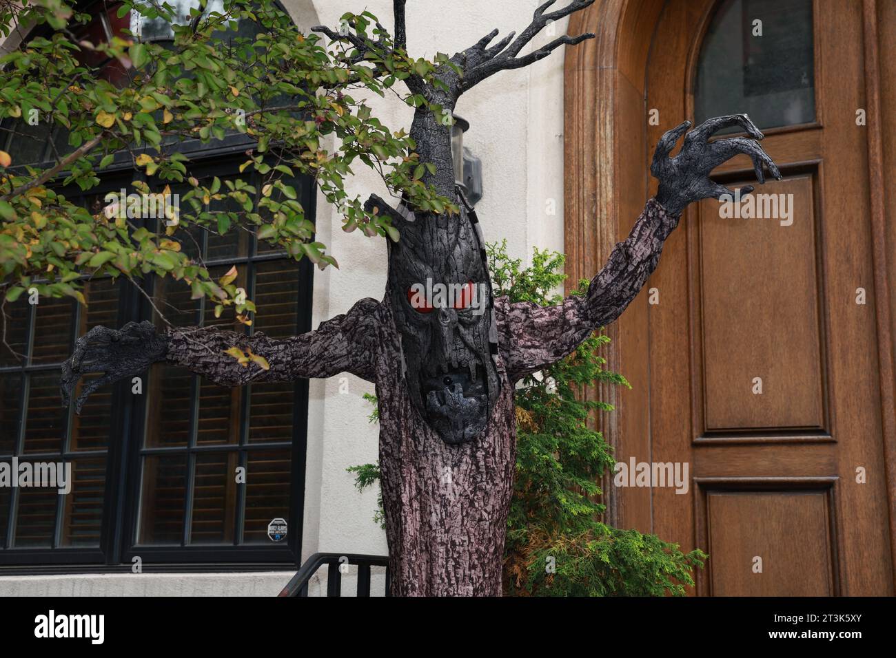 Happy wednesday illustration hi-res stock photography and images - Alamy