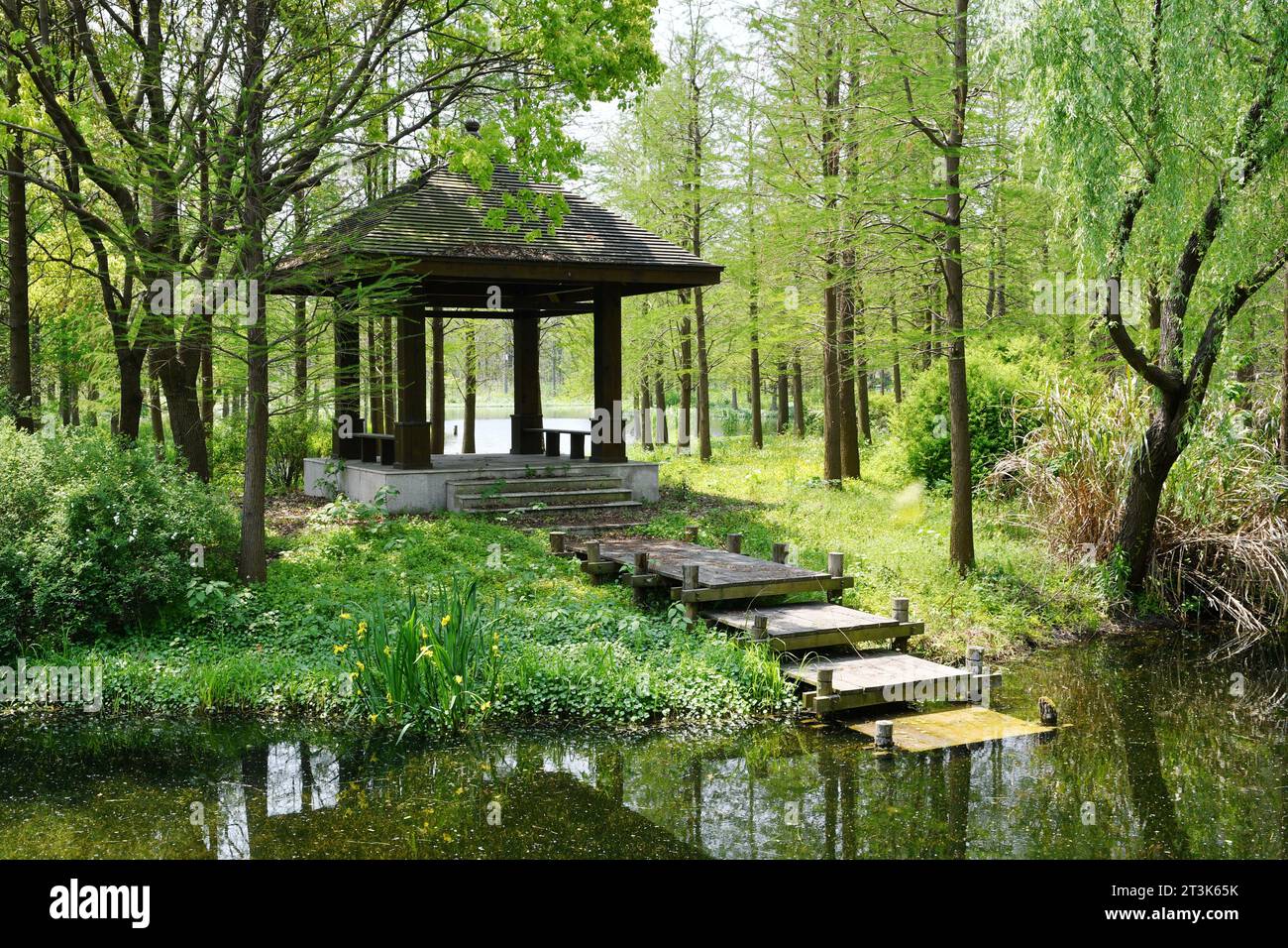 Photo of a traditional Chinese style pavilion in the woods by the small ...