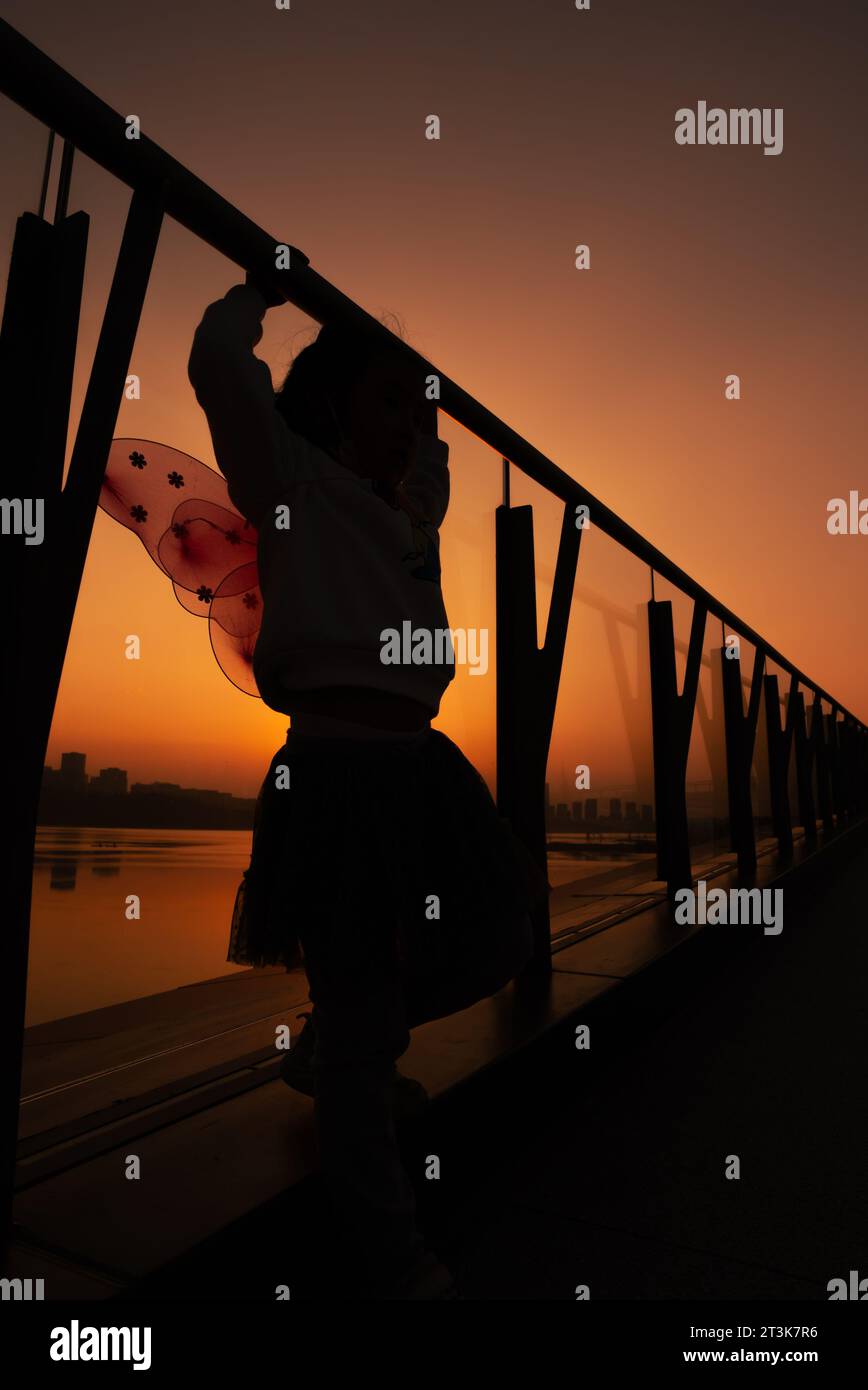 The Romantic Sunset of Xinglong Lake in Tianfu New Area, Chengdu Stock ...