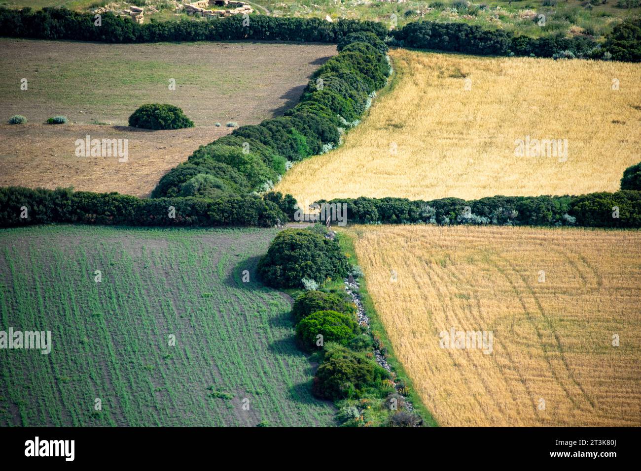 Agricultural Fields in South Sardinia - Italy Stock Photo - Alamy