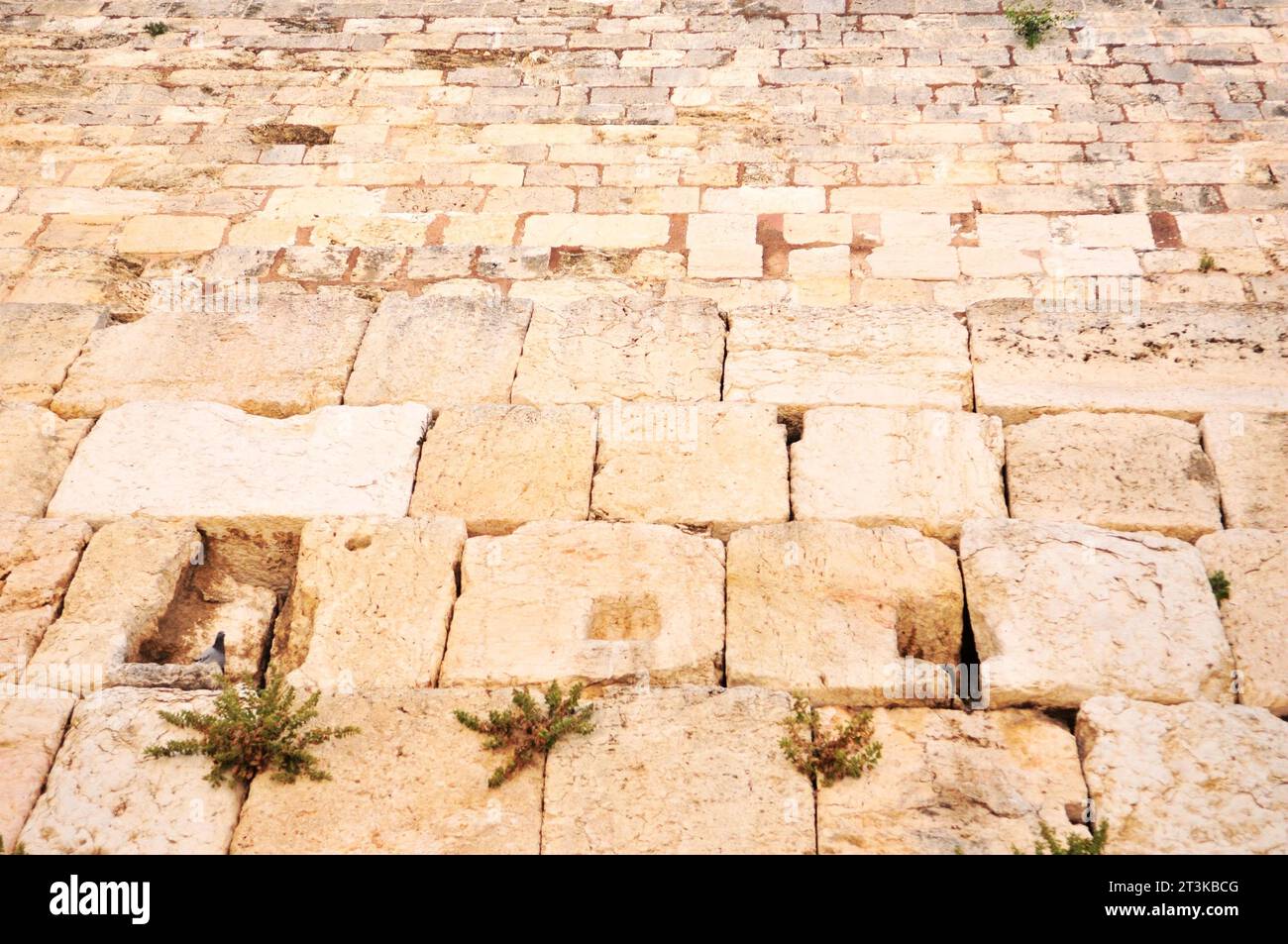 Western wailing crying wall hi-res stock photography and images - Alamy