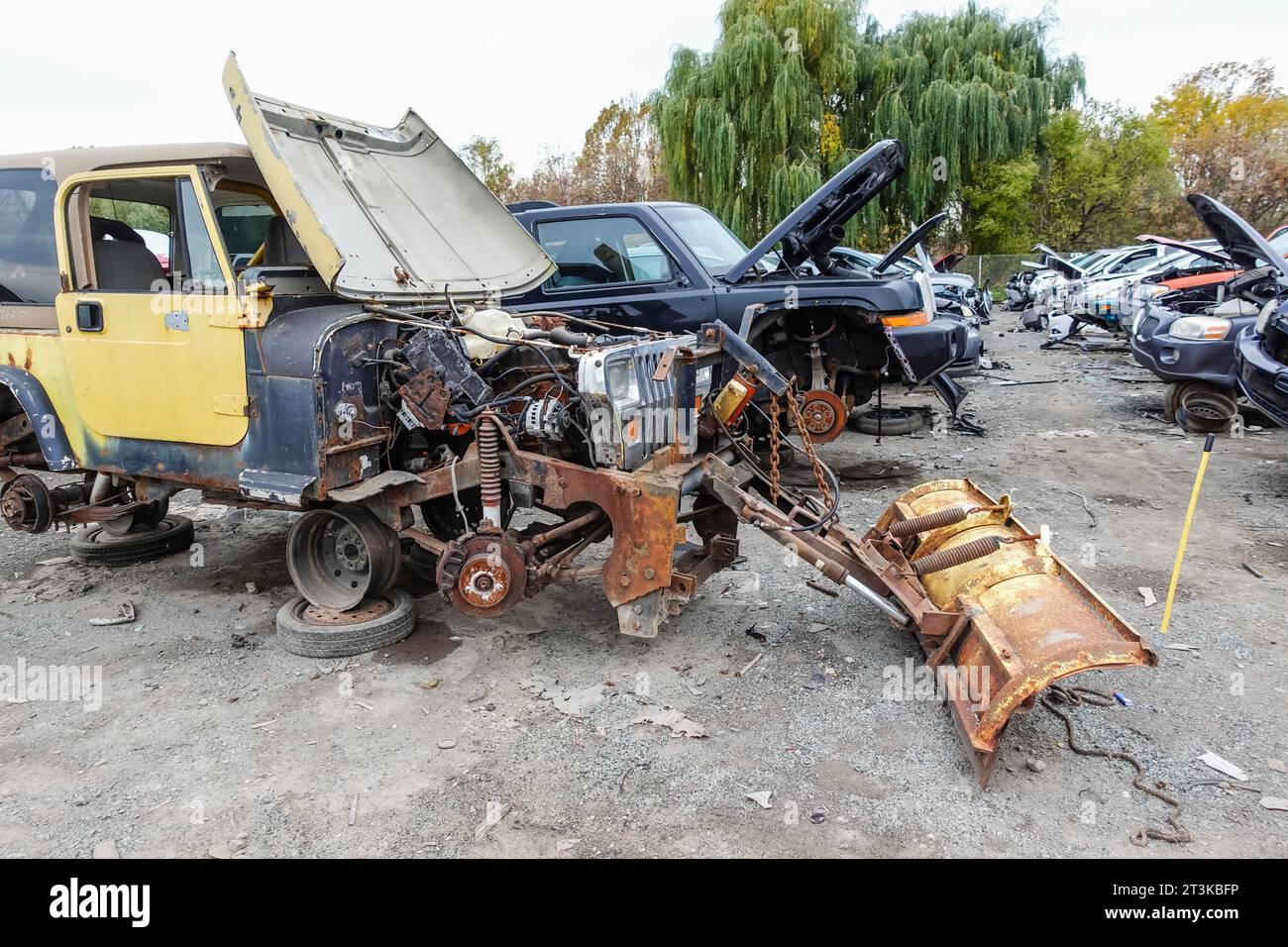 An outdoor auto junkyard with rows of cars Stock Photo - Alamy