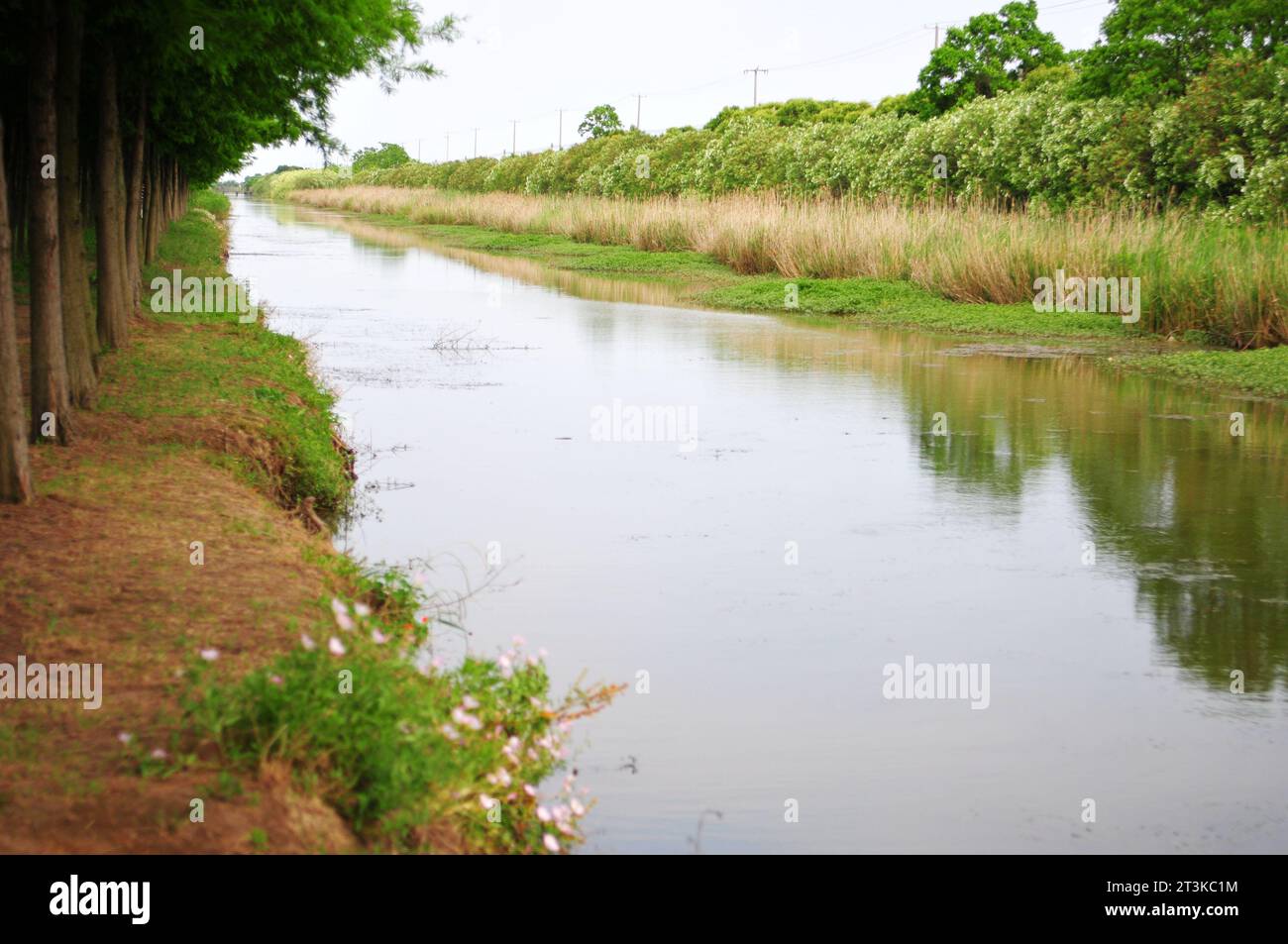Panoramic view wetland pond on hi-res stock photography and images - Alamy