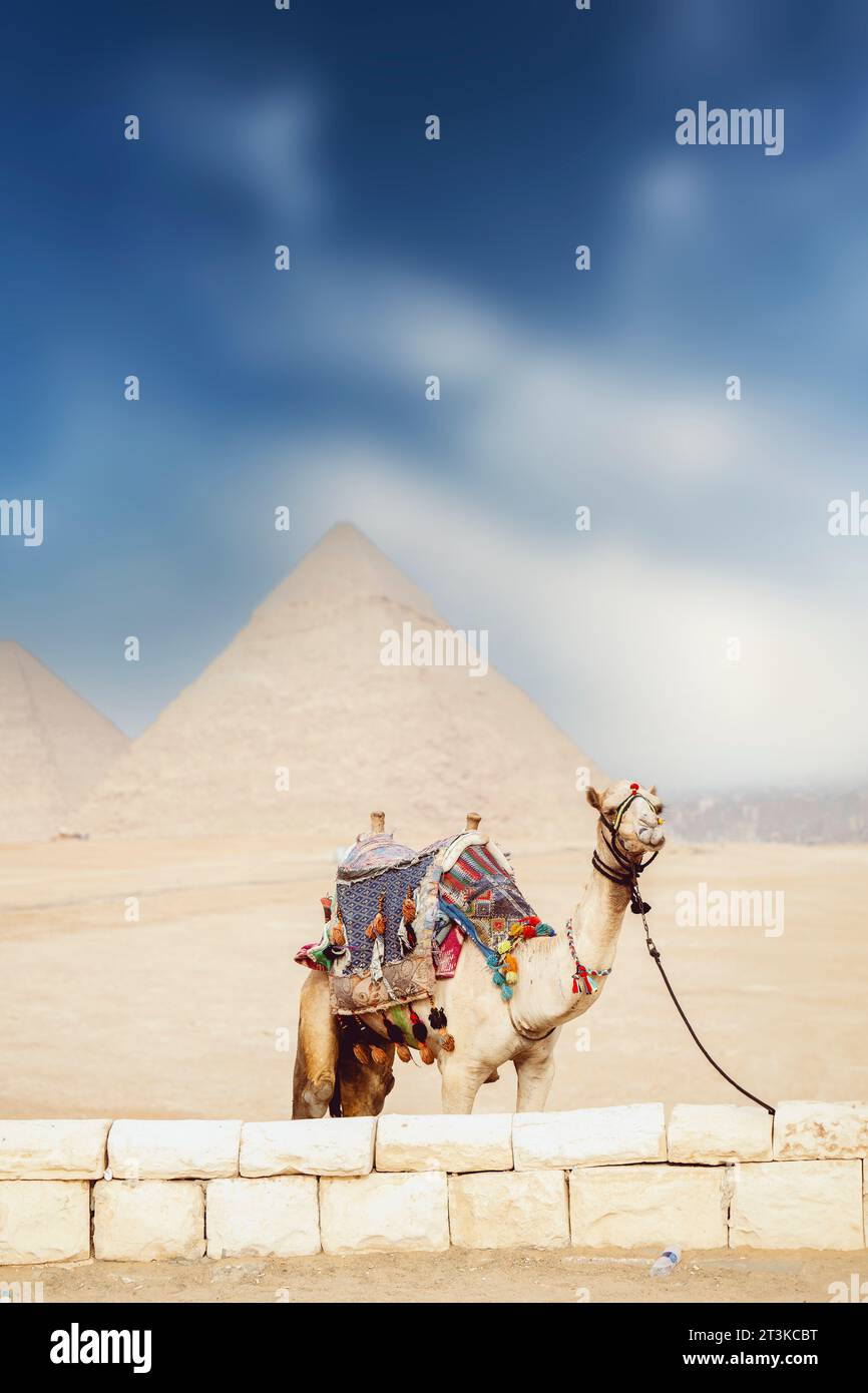 A breathtaking panoramic view of the Egyptian desert landscape Stock ...