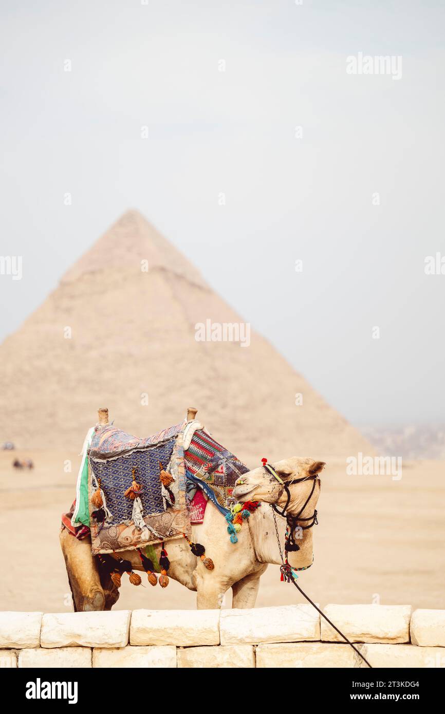 A breathtaking panoramic view of the Egyptian desert landscape Stock ...