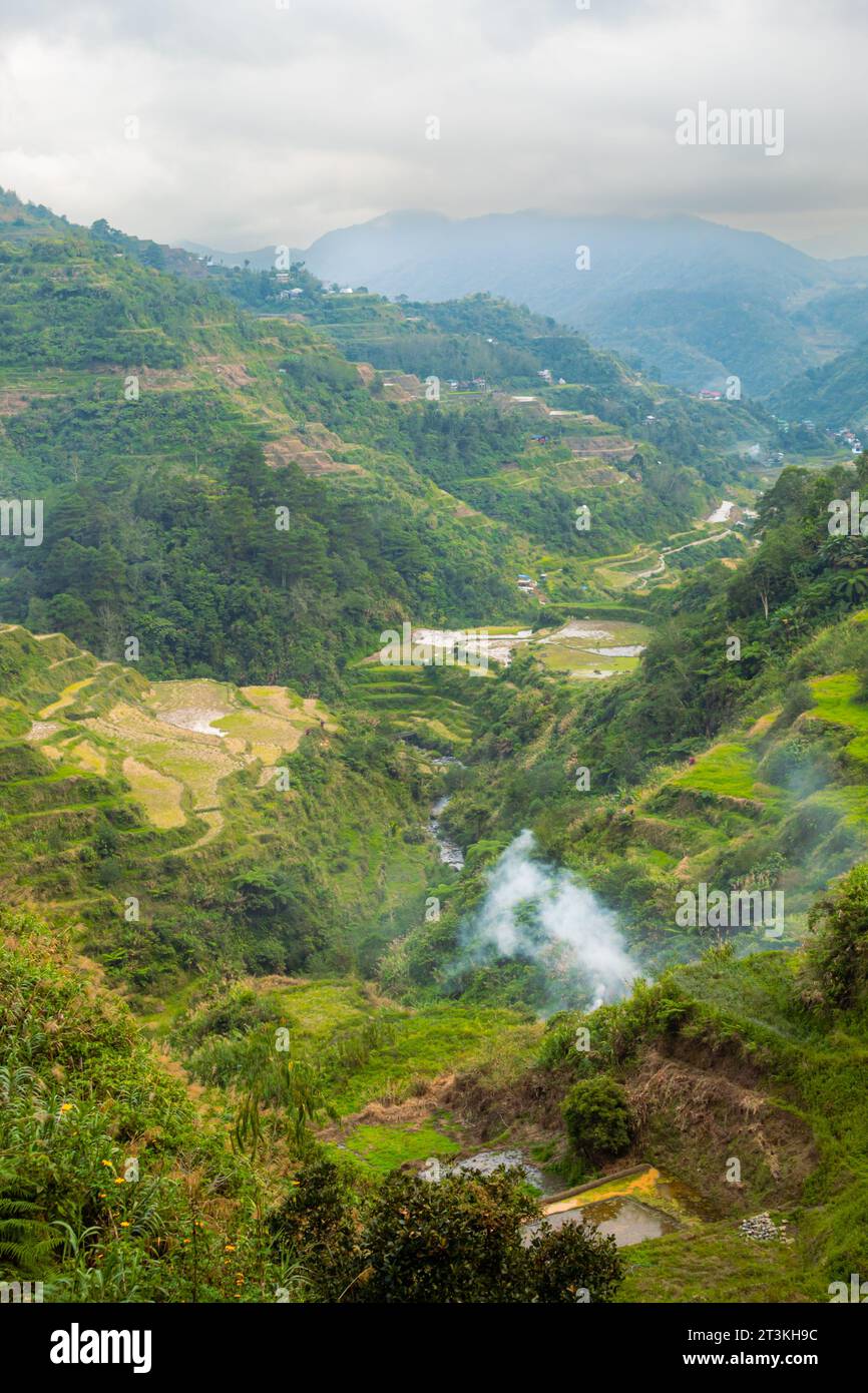 Vertical image of the Ifugao Rice Terraces, UNESCO world heritage in ...