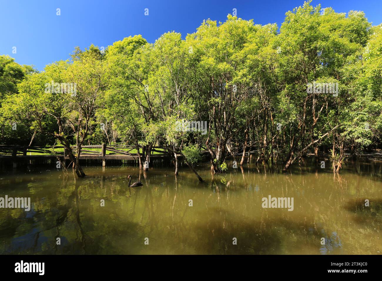 Pang tong royal development project hi-res stock photography and images ...