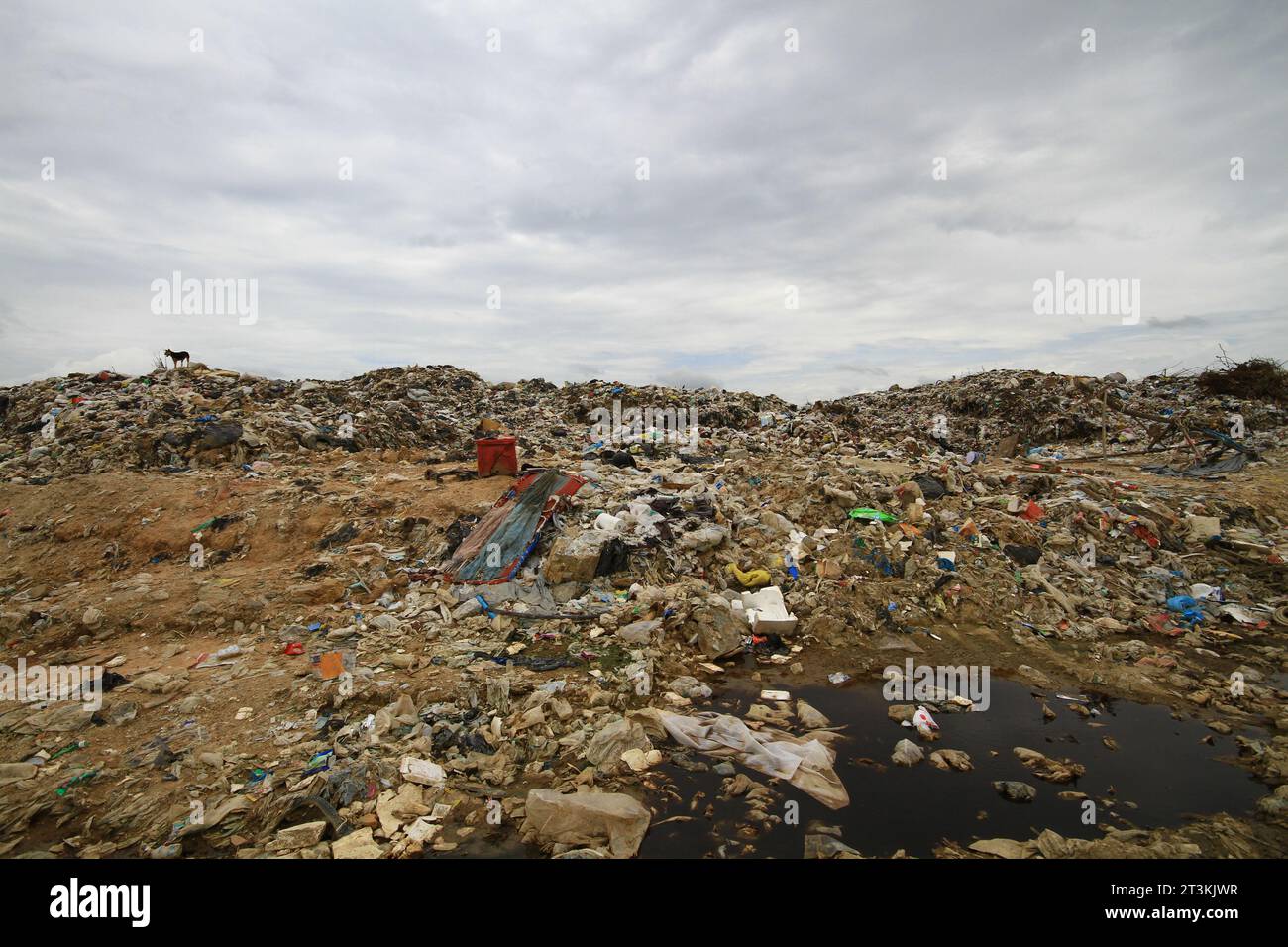 The decline of the world When there is too much garbage Stock Photo - Alamy