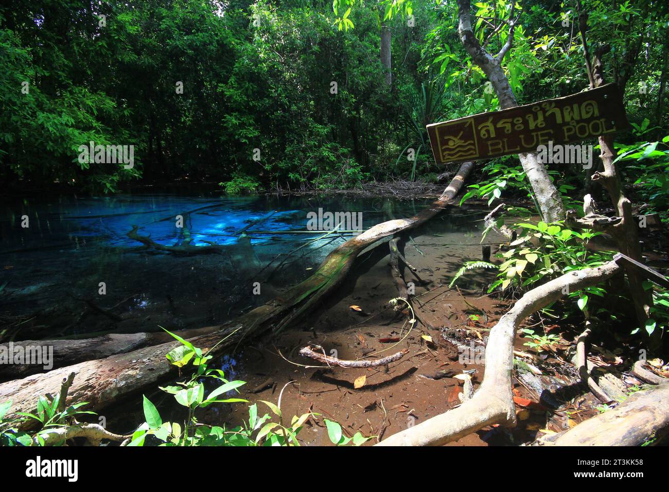 The Emerald Pool (Sra Nam Phut) - Spring Pool is the origin of emerald ...