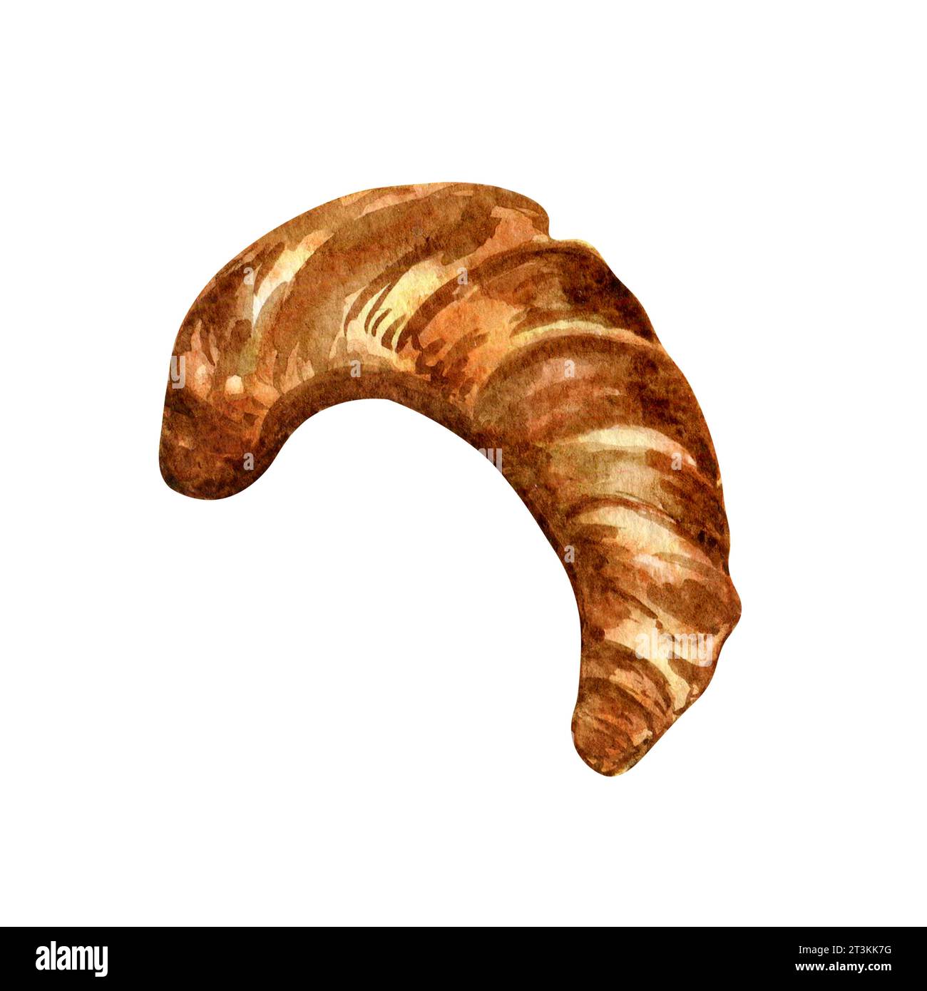 Croissant watercolor illustration isolated on white background. Hand ...