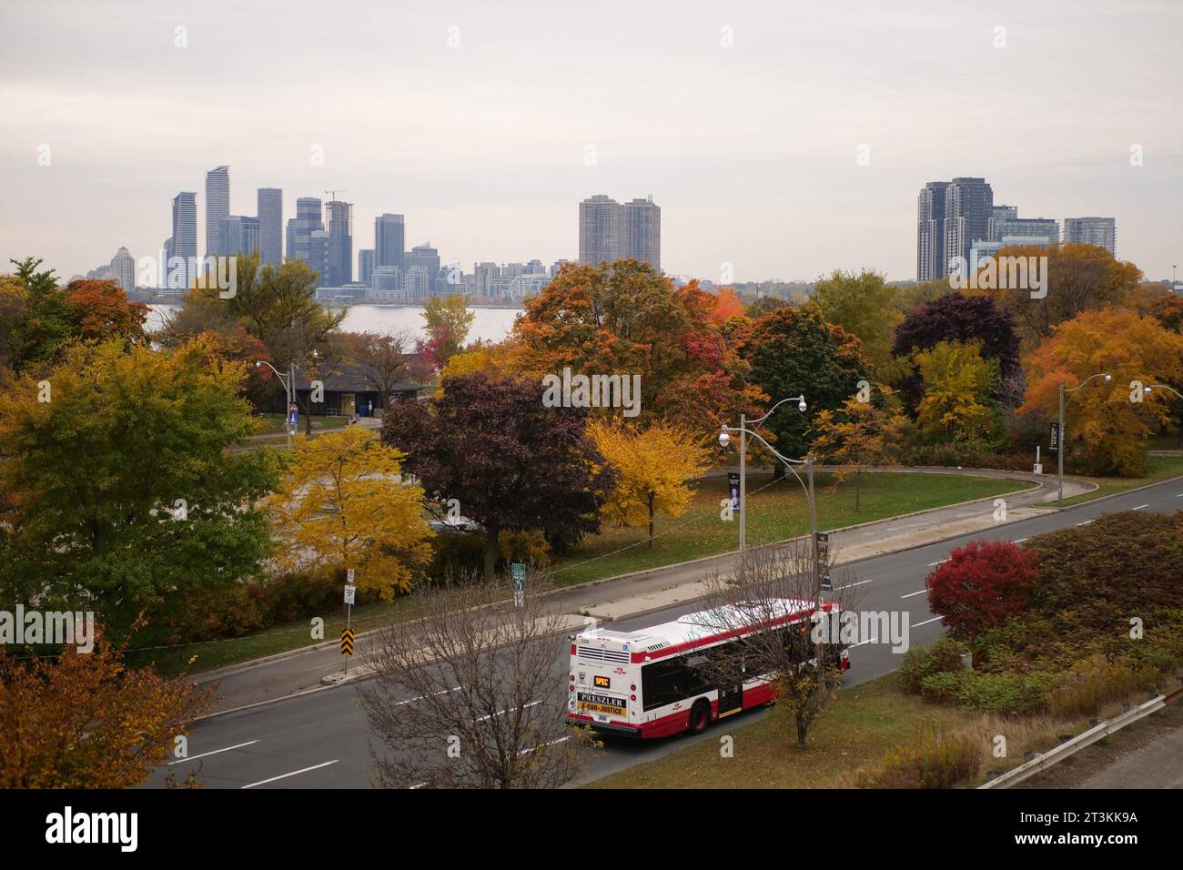 Toronto, Canada. 25th Oct, 2023. Toronto Transit Commission (TTC) bus ...