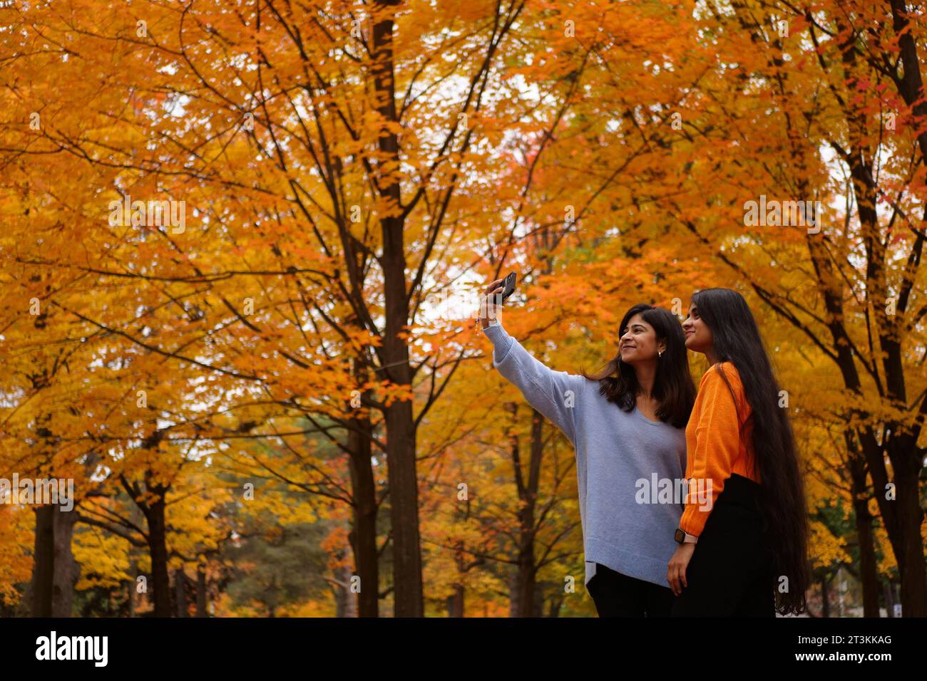 Toronto, Canada. 25th Oct, 2023. Women take selfies in High Park during ...