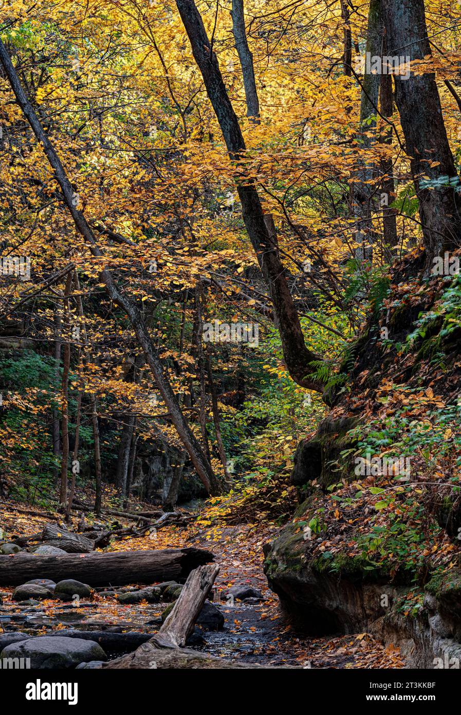 Autumn color is on full display in the dells area of Matthiessen State ...