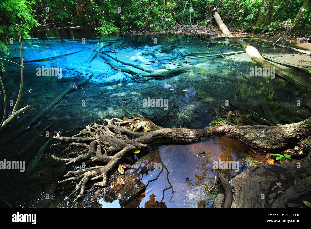 Blue Pool (Sra Nam Phut) - Spring Pool is the origin of emerald pool ...