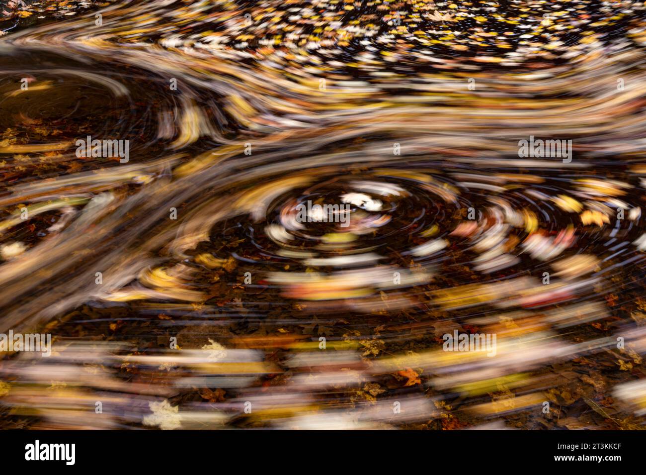 Autumn leaves swirl in a pool in the dells area of Matthiessen State ...