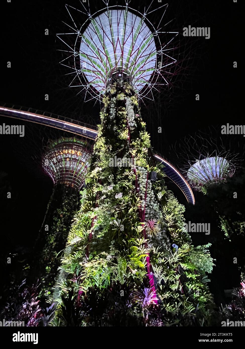 Gardens by the bay singapore 2023 hi-res stock photography and images ...