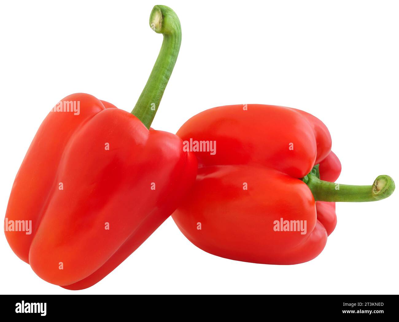 Red capsicum fresh and organic Stock Photo - Alamy
