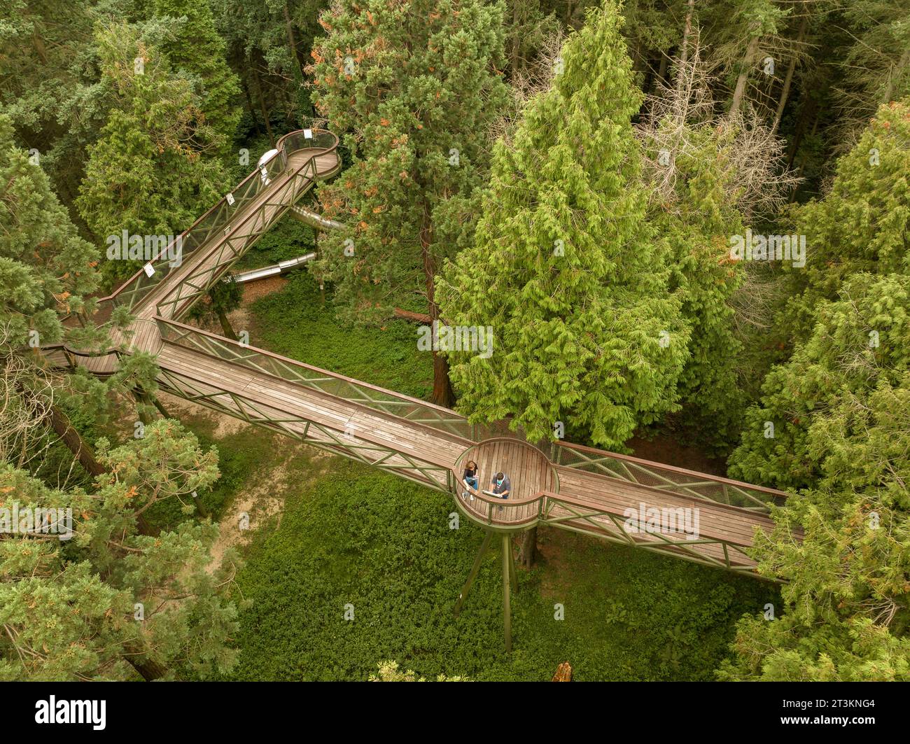 Wood promenade in a forest. Aerial view about a green area with wooden ...