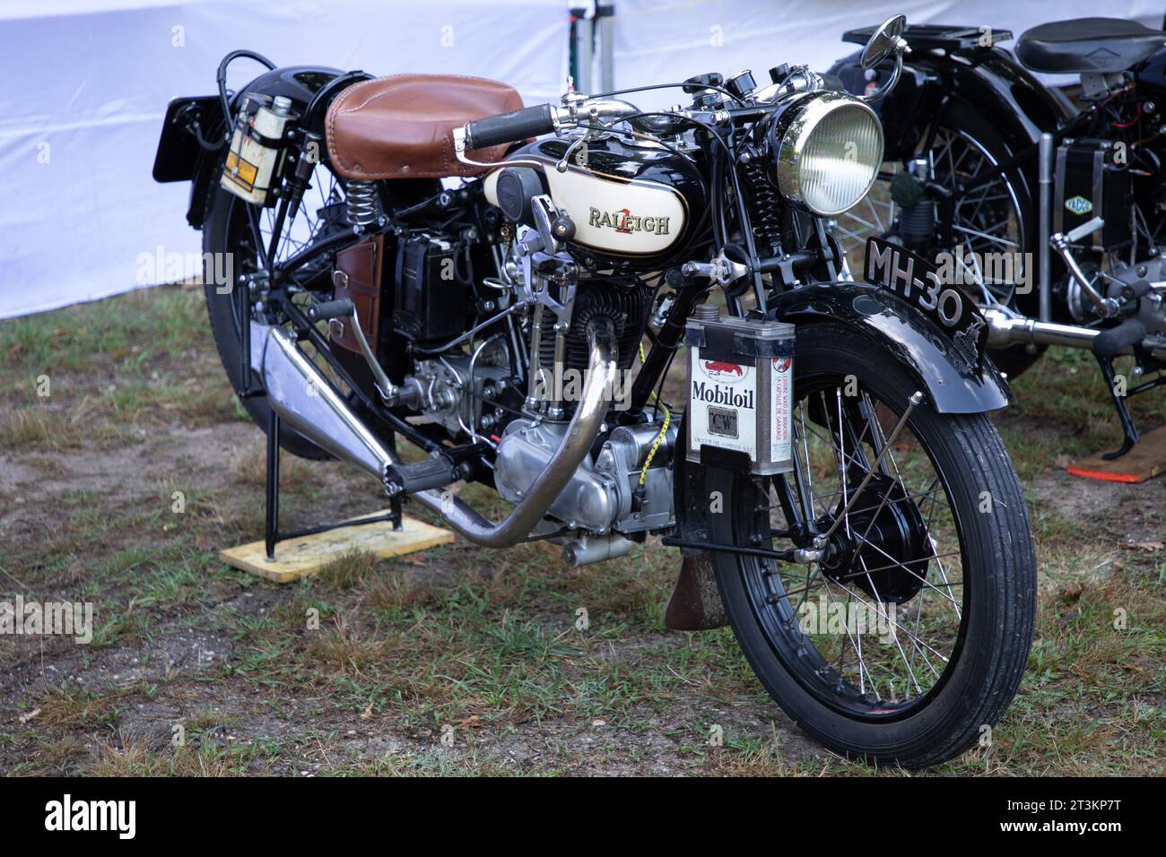 Bordeaux , France - 10 06 2023 : Raleigh retro brand logo and sign text ...