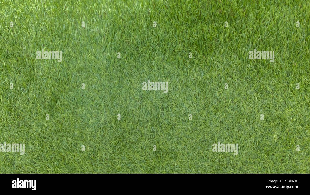green grass field synthetic artificial plastic grass texture floor ...