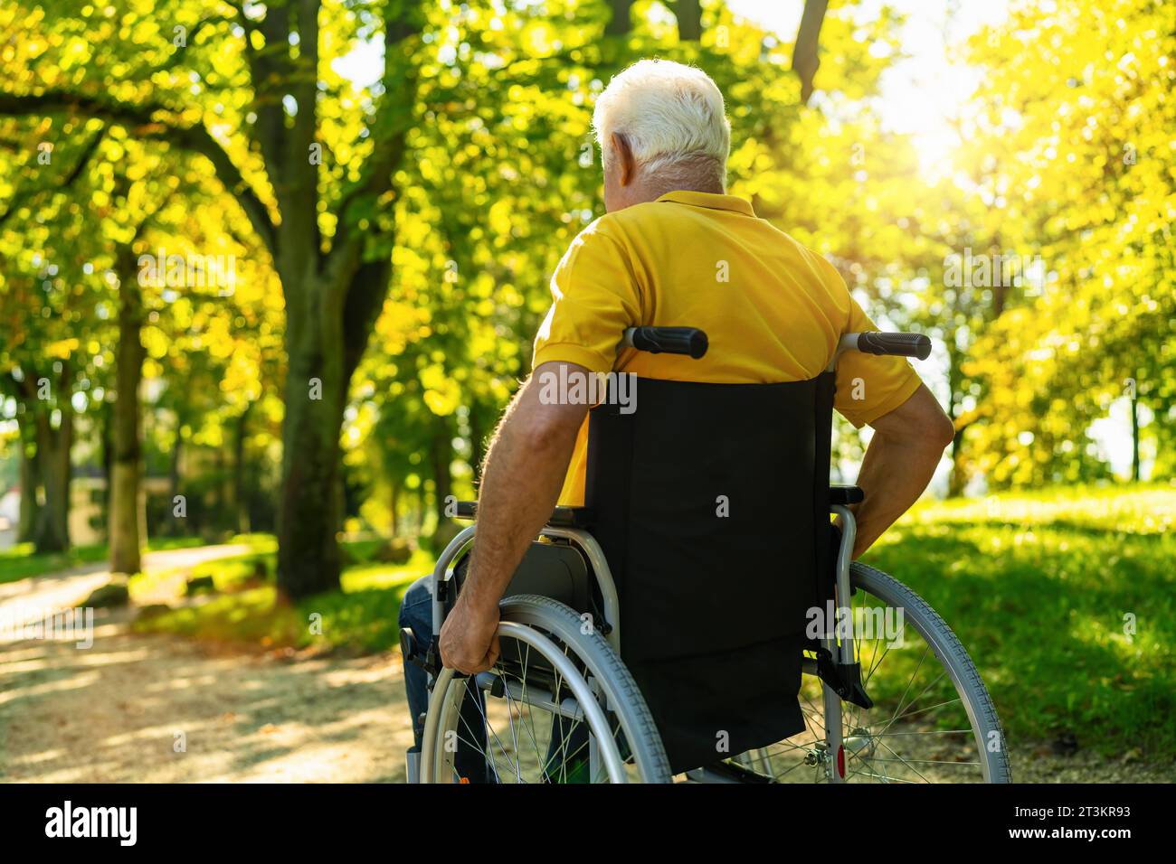 senior handicapped man sit in wheelchair during walk in park, mature ...